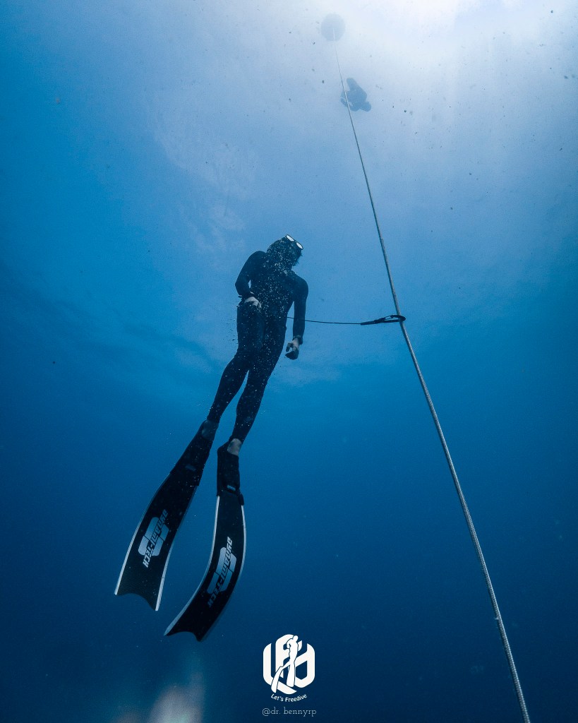 Reasons Why You Should Take A Freediving Certification Course – Let's ...